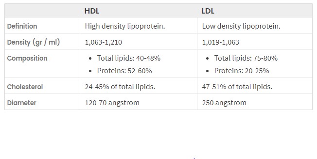 Define HDL cholesterol and LDL cholesterol | Cholesterol Free Foods